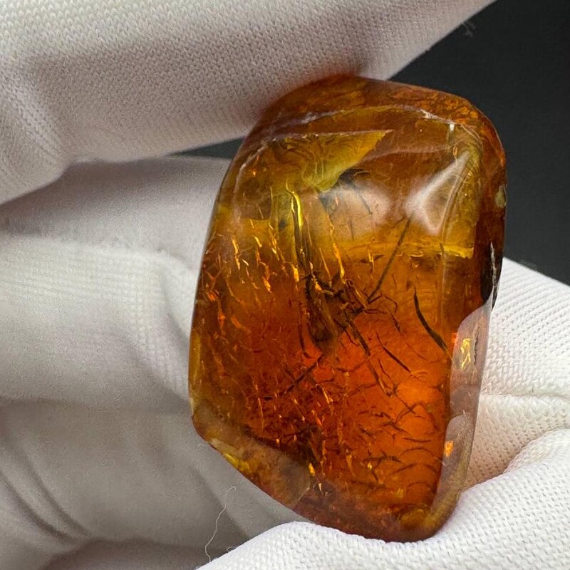 Amber With Insect - Etsy