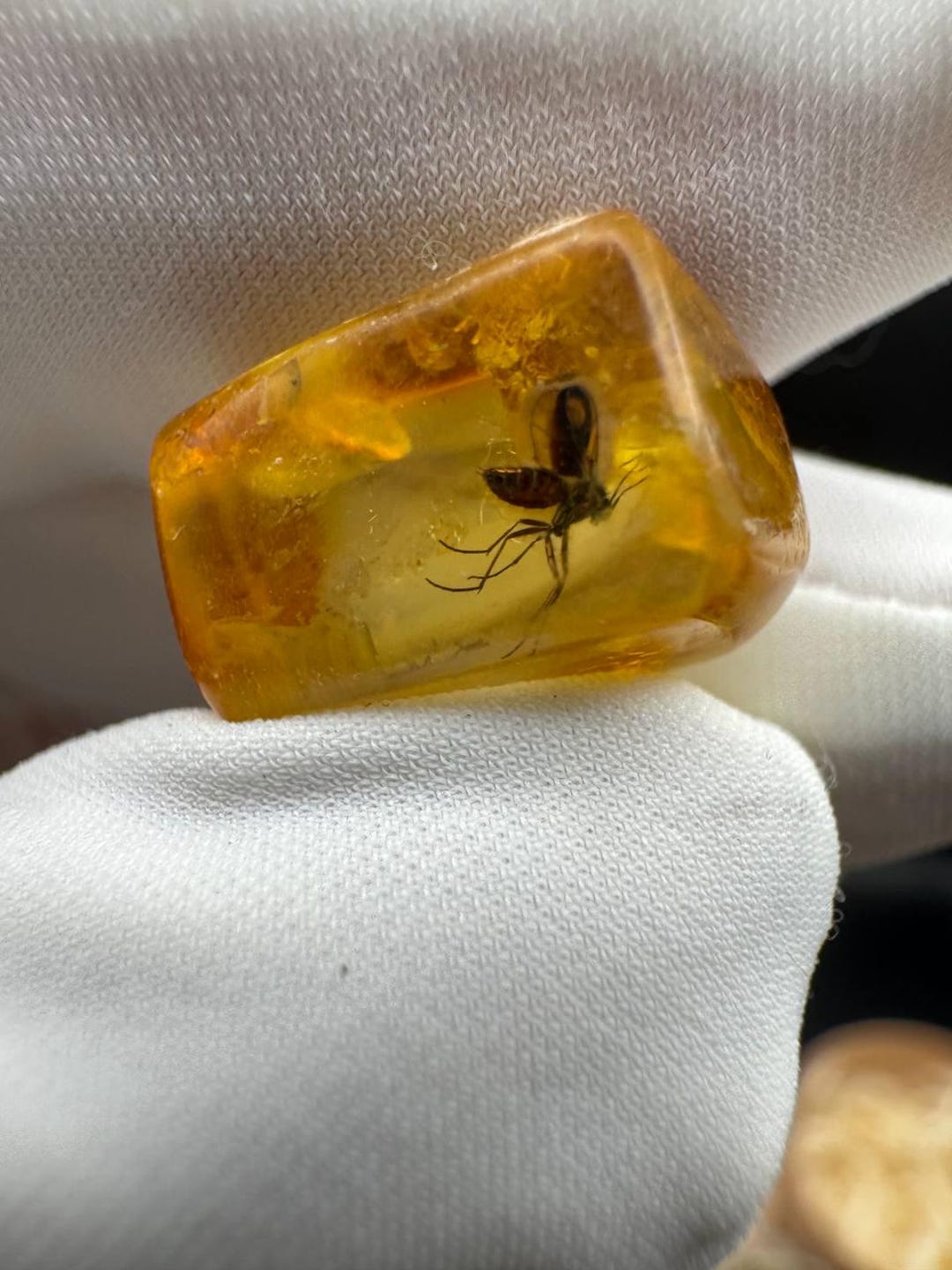 Real Baltic Amber With Insect Inclusion Fossil Resin Rare Amber ...