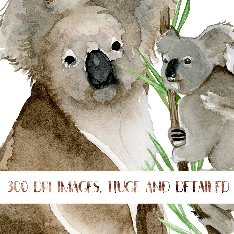 Watercolor Koalas, Koala Bear Clipart, Nature Clipart, Forest Clip Art ...