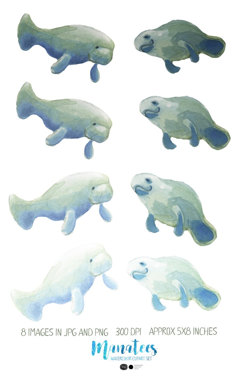 Seekuh Clip Art, Aquarell Clipart, Natur Clipart, Ozean Clip Art ...