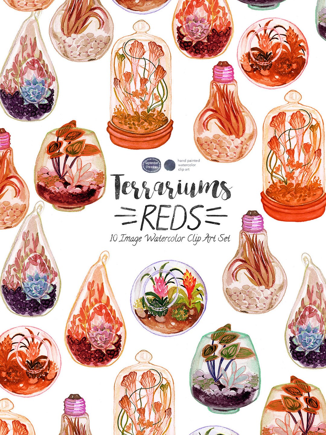 Watercolor Terrariums, Succulent Clip Art, Nature Clipart, Plant Clip ...
