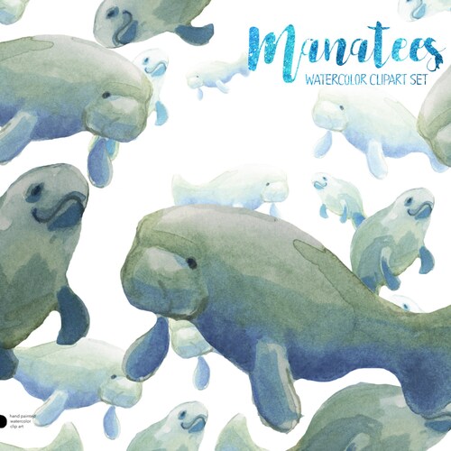 Manatee Clip Art Watercolor Clipart Nature Clipart Ocean - Etsy