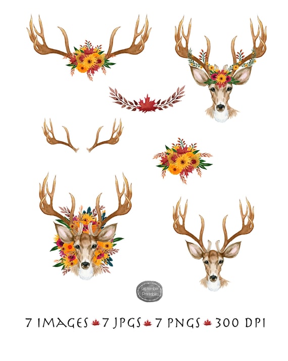 Floral Antler Clip Art Free Watercolor Floral Deer Antlers, Watercolor
