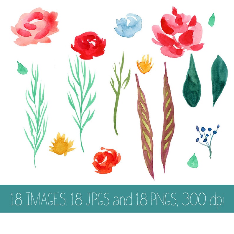 Bright and Bold: Flowers, Floral Clip Art, Watercolor Flower Clip Art ...