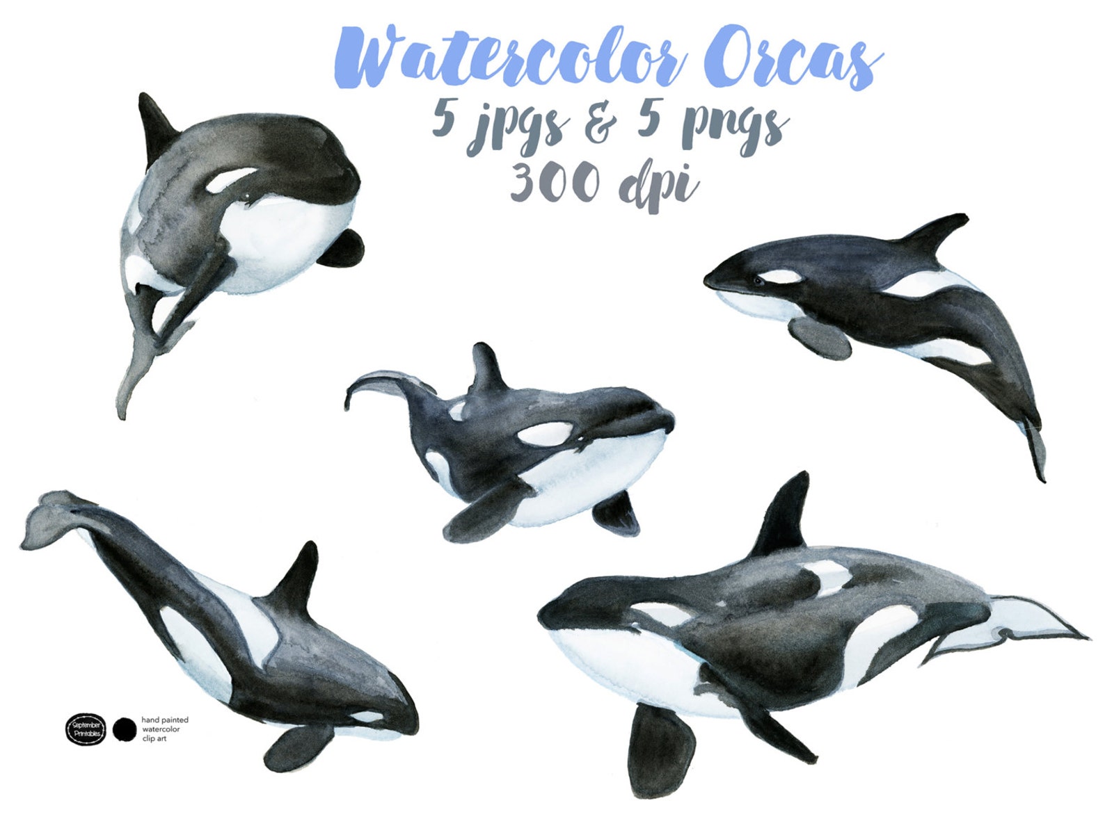 Watercolor Orca Whale Pngs and Jpgs | Watercolor Orca Art Printables ...