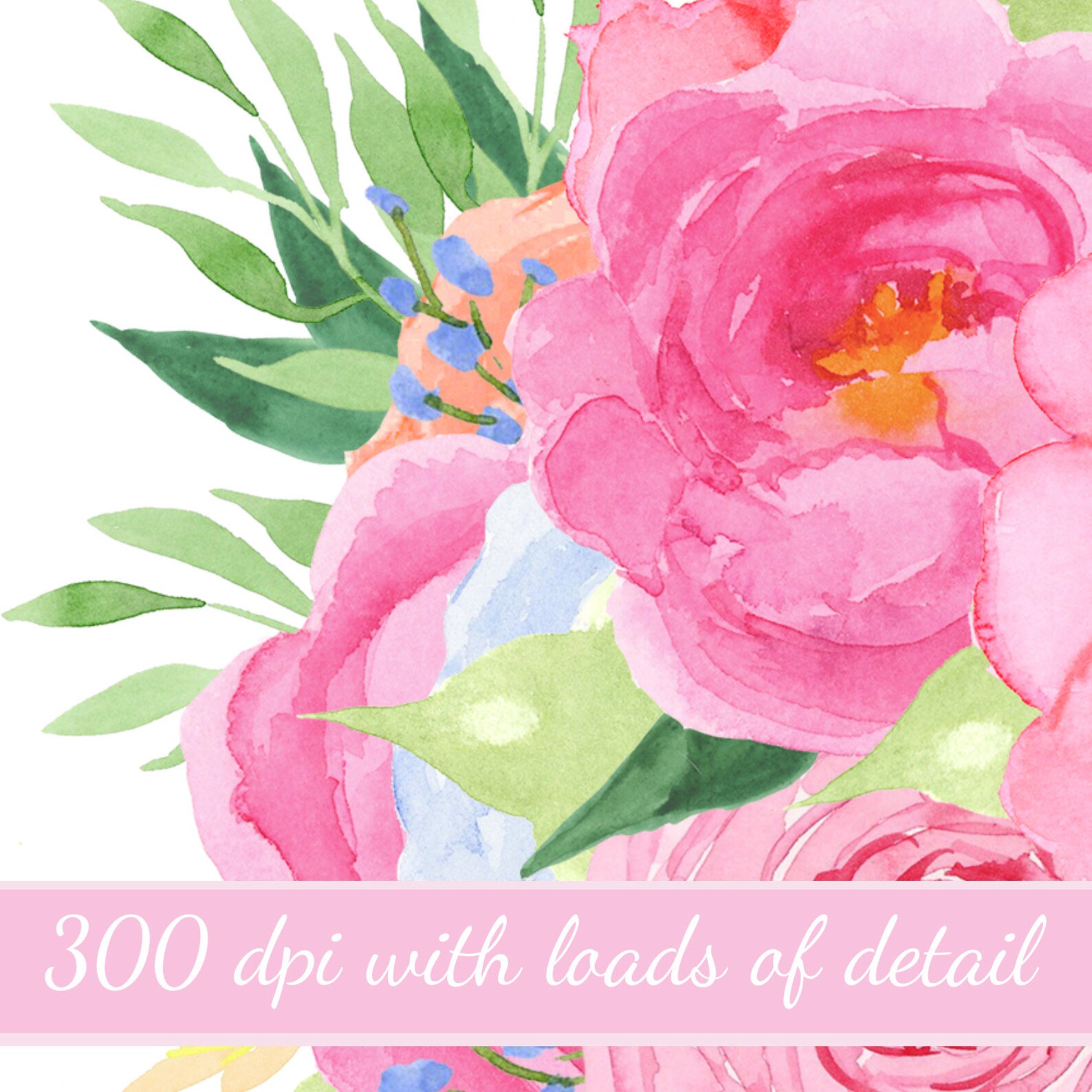 Spring Fling: Floral Clip Art, Watercolor Flower Clip Art, Spring ...