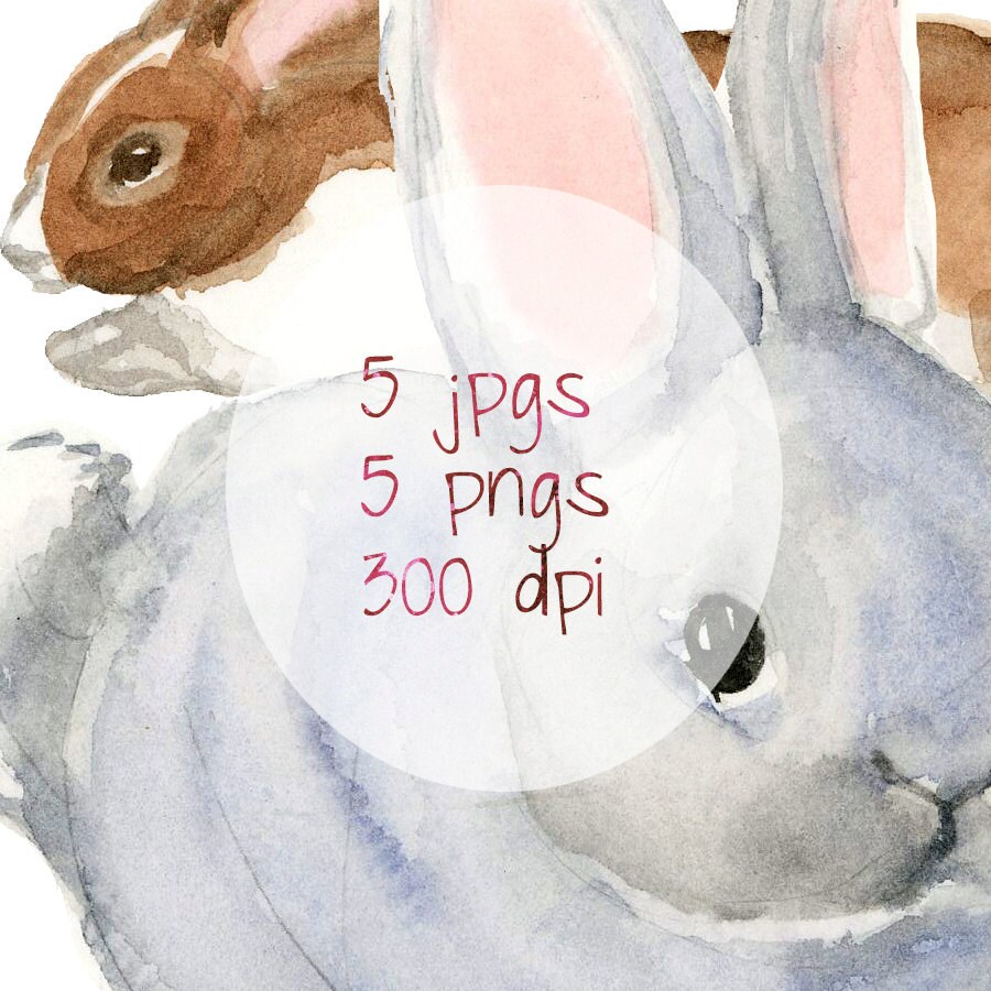 Watercolor Bunny Rabbit Clip Art, Easter Bunny Clipart - Etsy
