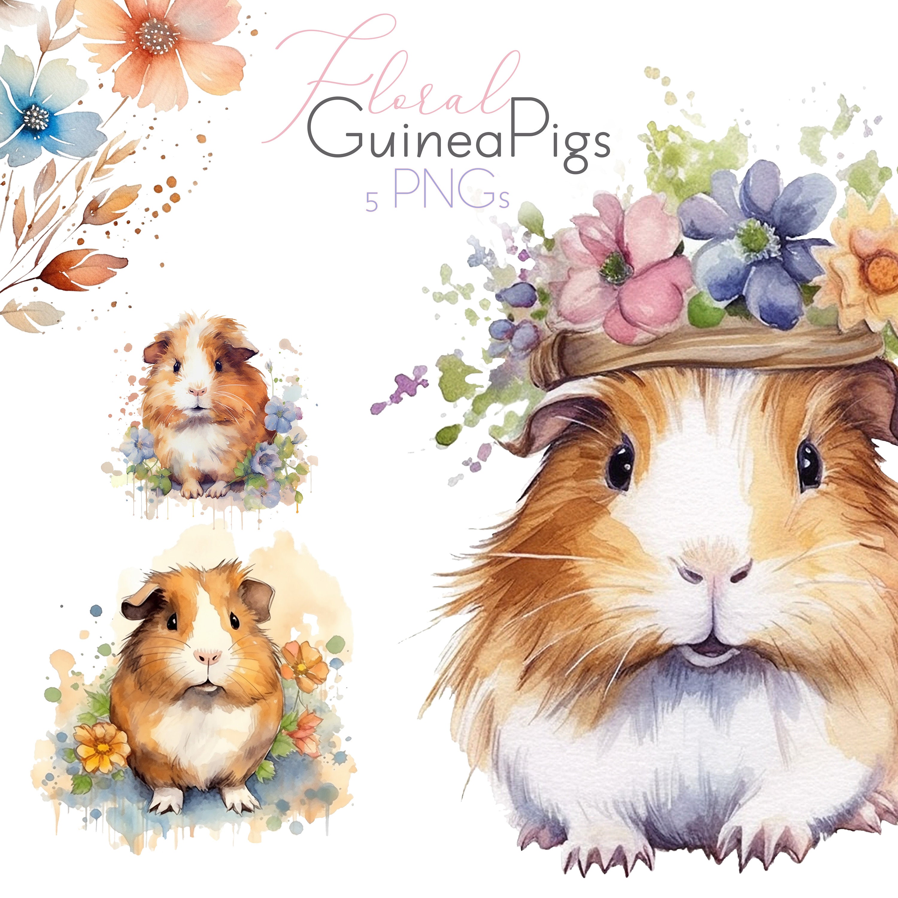 Watercolor Guinea Pig Clipart | Guinea Pigs and Flowers | Cute Guinea ...