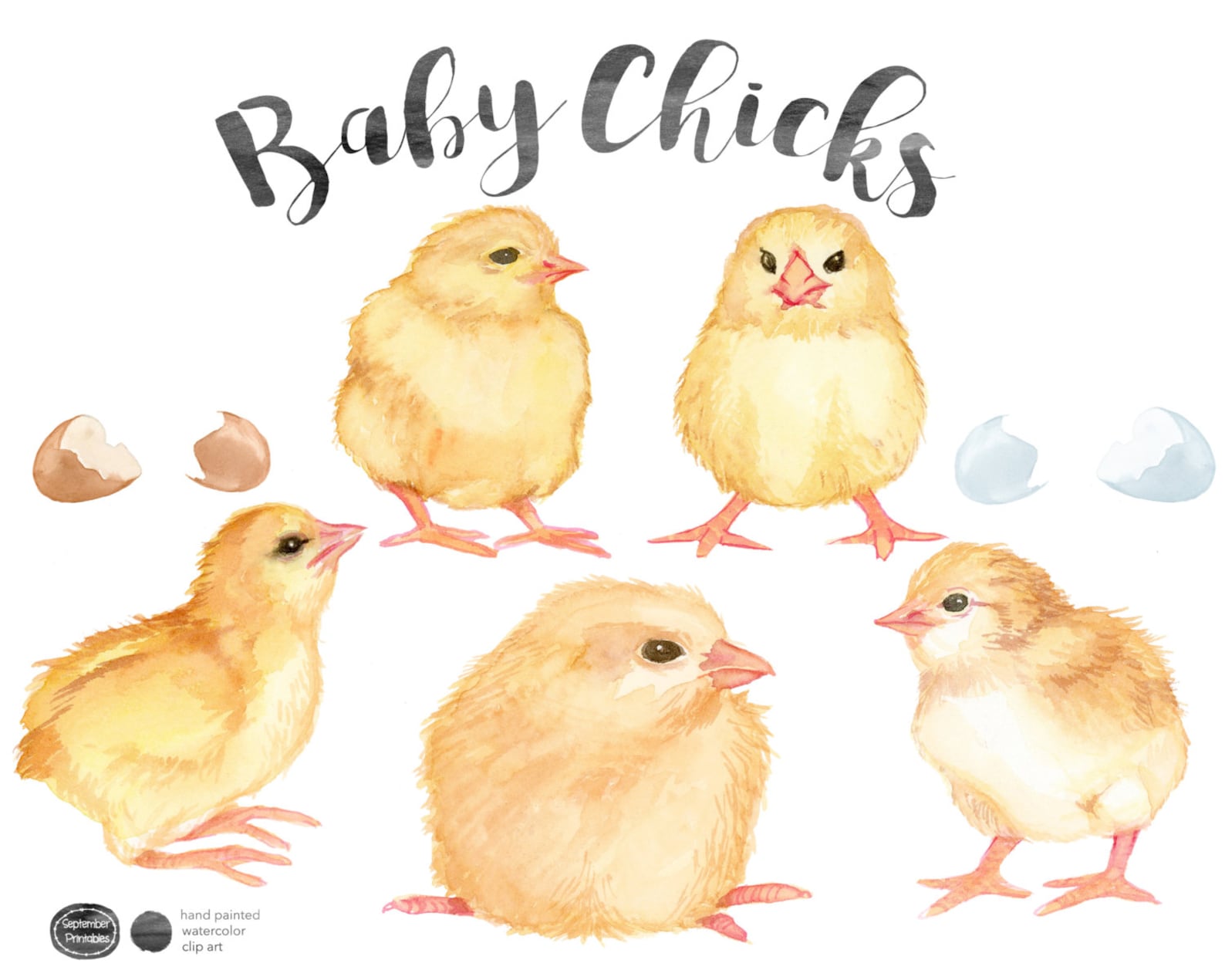Watercolor Baby Chicks Baby Chick Clip Art Nature Clipart - Etsy