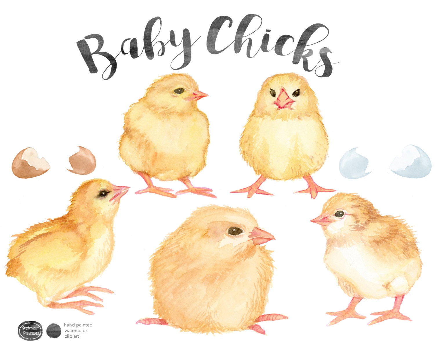 Watercolor Easter Chicks Clipart, Baby Chicks Pngs - Etsy