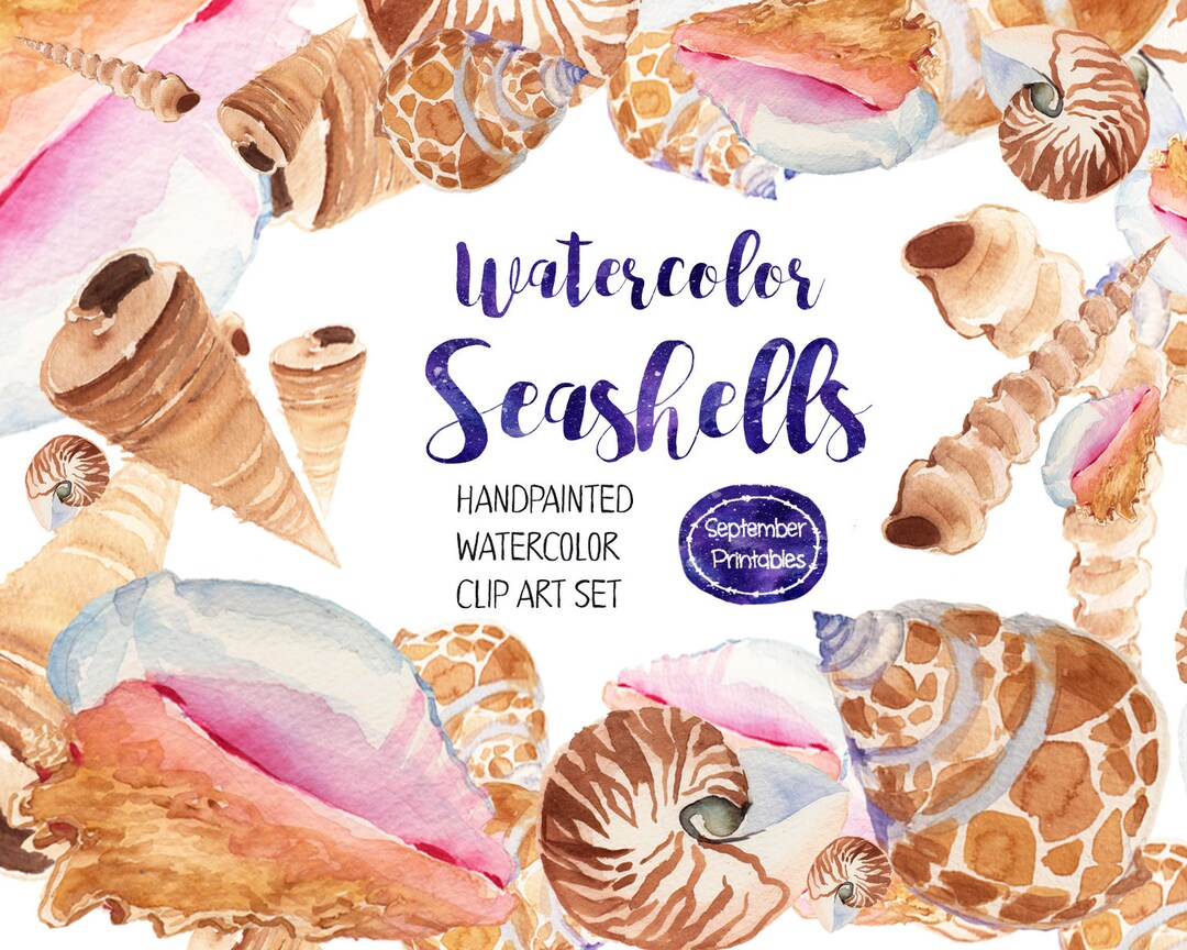 Watercolor Seashells, Beach Clipart, Summer Clipart, Summertime, Ocean ...