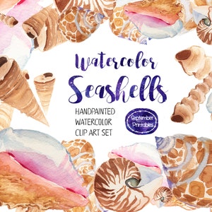 Watercolor Seashells, Beach Clipart, Summer Clipart, Summertime, Ocean ...