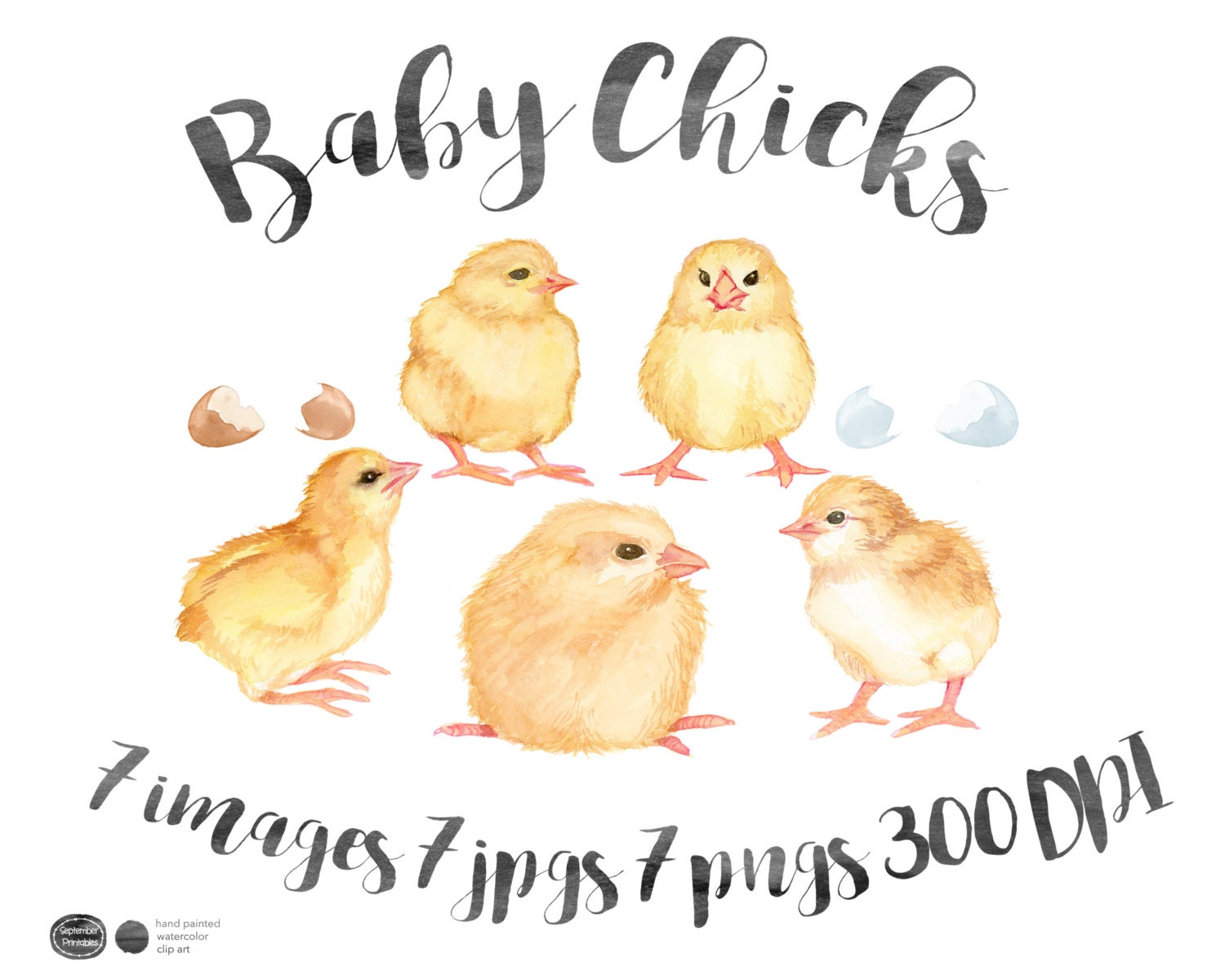 Watercolor Easter Chicks Clipart, Baby Chicks Pngs - Etsy