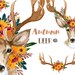 Autumn Deer and Floral Antlers, Fall Clip Art, Watercolor Deer, Autumn ...