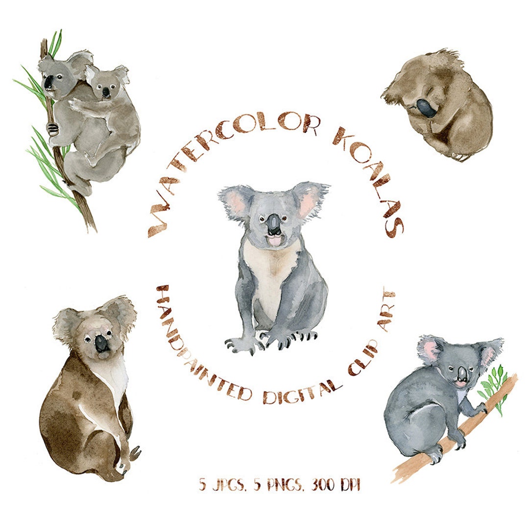 Watercolor Koalas, Koala Bear Clipart, Nature Clipart, Forest Clip Art ...