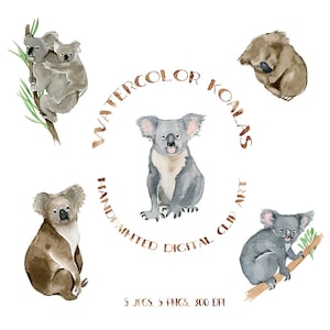 Watercolor Koalas, Koala Bear Clipart, Nature Clipart, Forest Clip Art ...