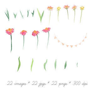 Summer Meadow: Floral Clip Art, Watercolor Flower Clip Art, Handpainted ...