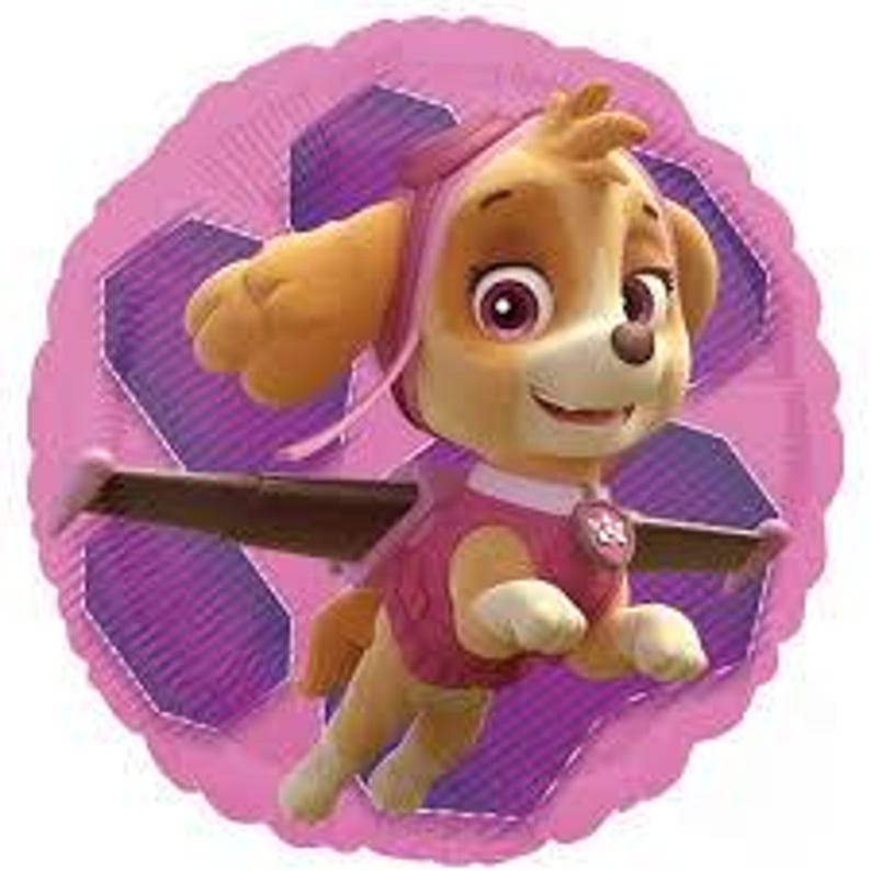 Paw Patrol Skye Balloon - Etsy