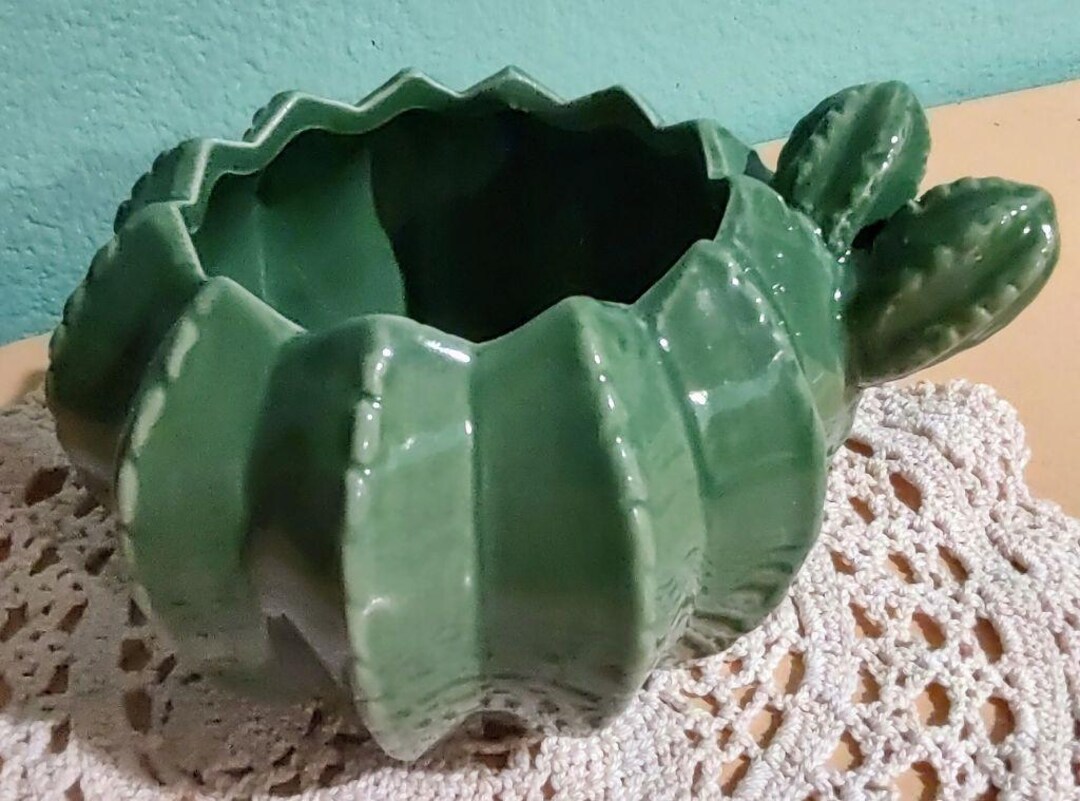 New Ceramic Cactus Planter Flower Pot Succulent Cacti Green Garden - Etsy