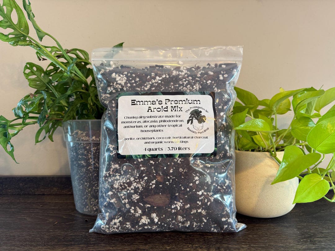 Emma's Premium Aroid Mix - Etsy