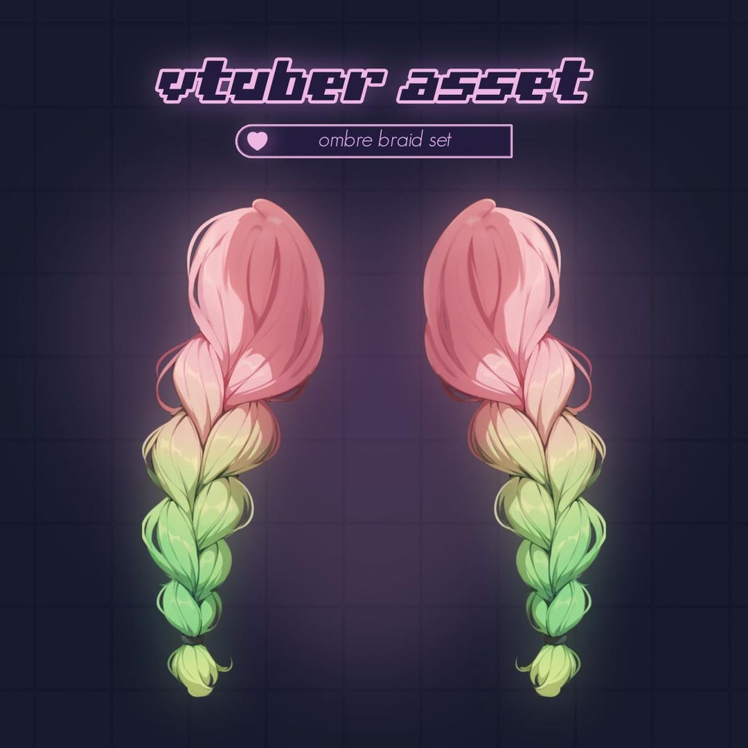 Rigged Ombre Braid Hair Asset Set for Vtube Studio - 6 Color Variations ...