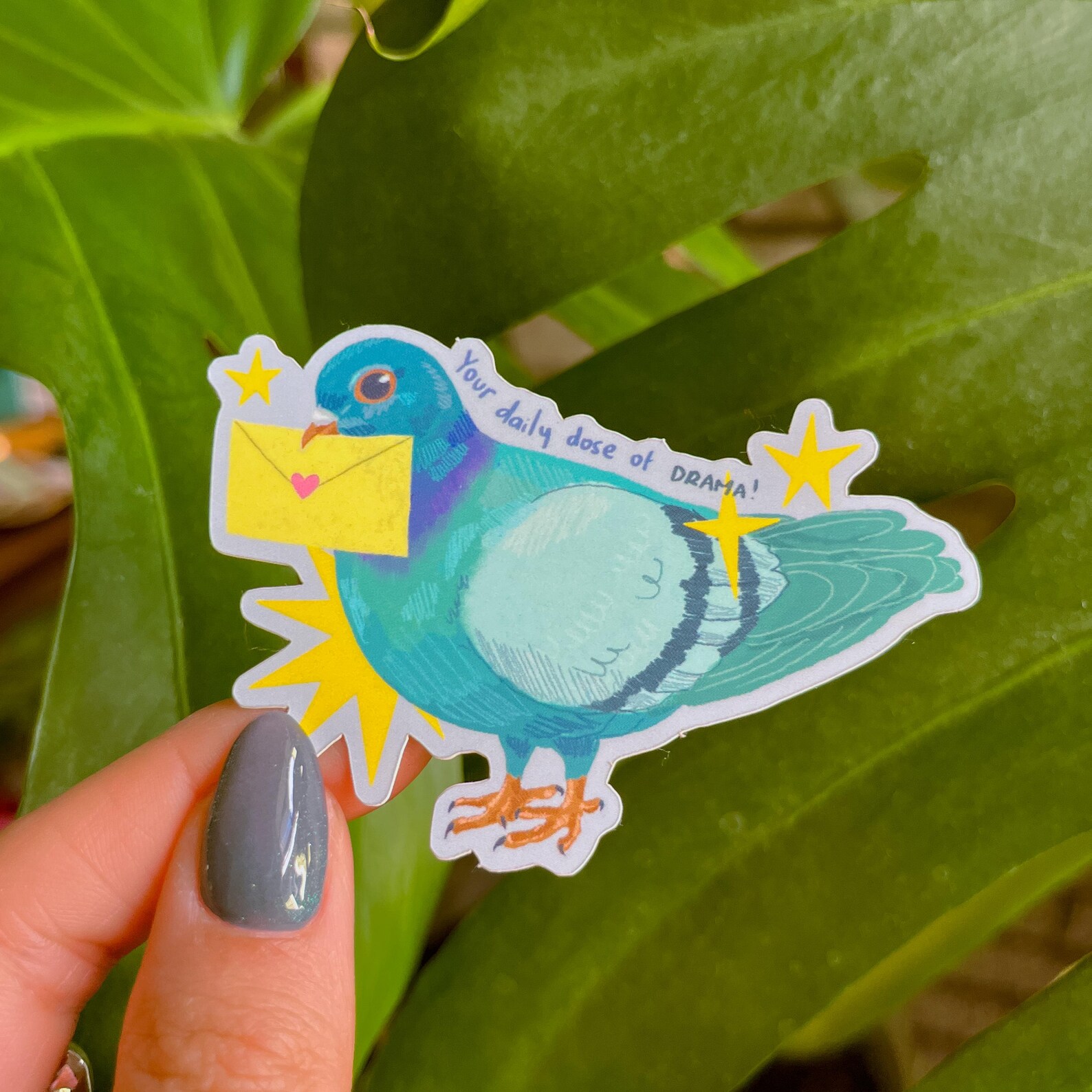 Pigeon Matte Vinyl Sticker | Laptop, Water Bottle Decal - Etsy
