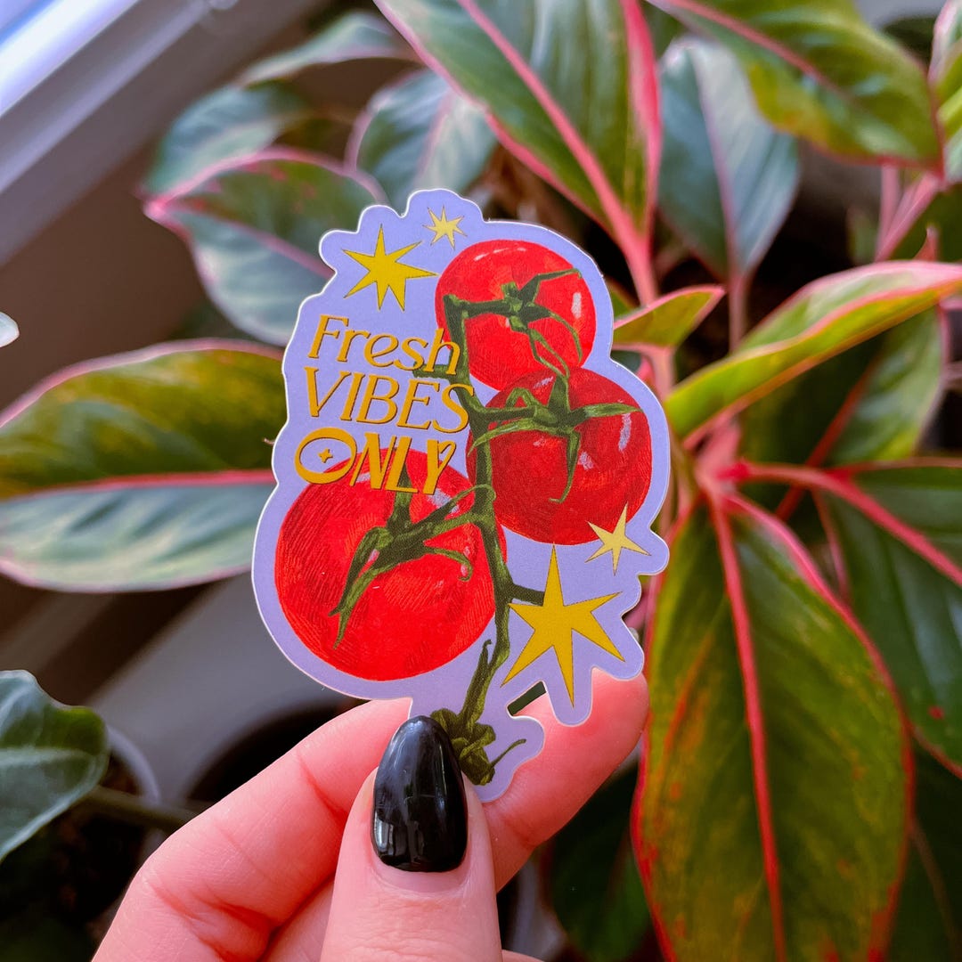Tomatoes Sticker | Cute Vinyl Stickers for Laptops, Water Bottles ...