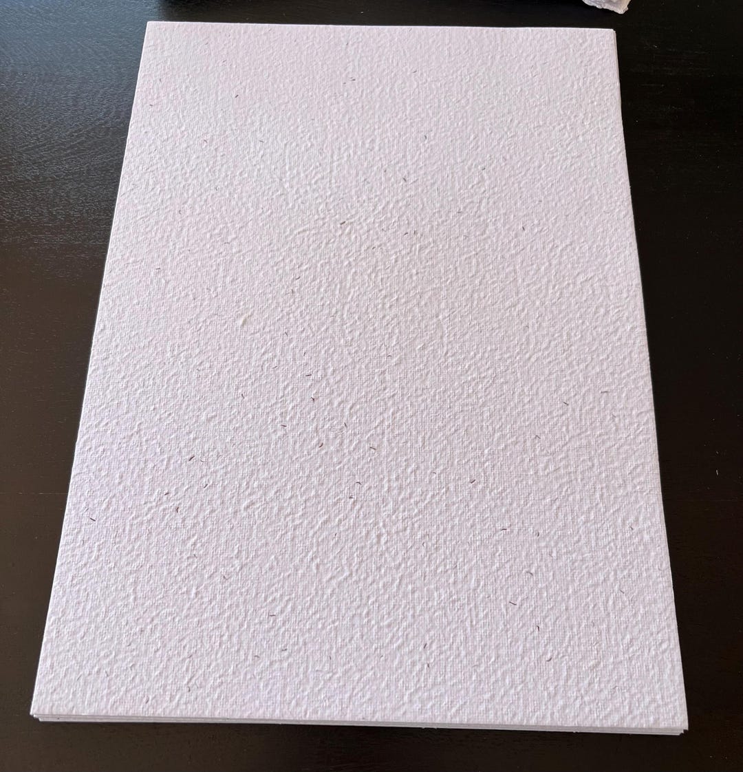 Plantable Seed Paper A4 – Australian Native Flowering Shrub Mix - Etsy