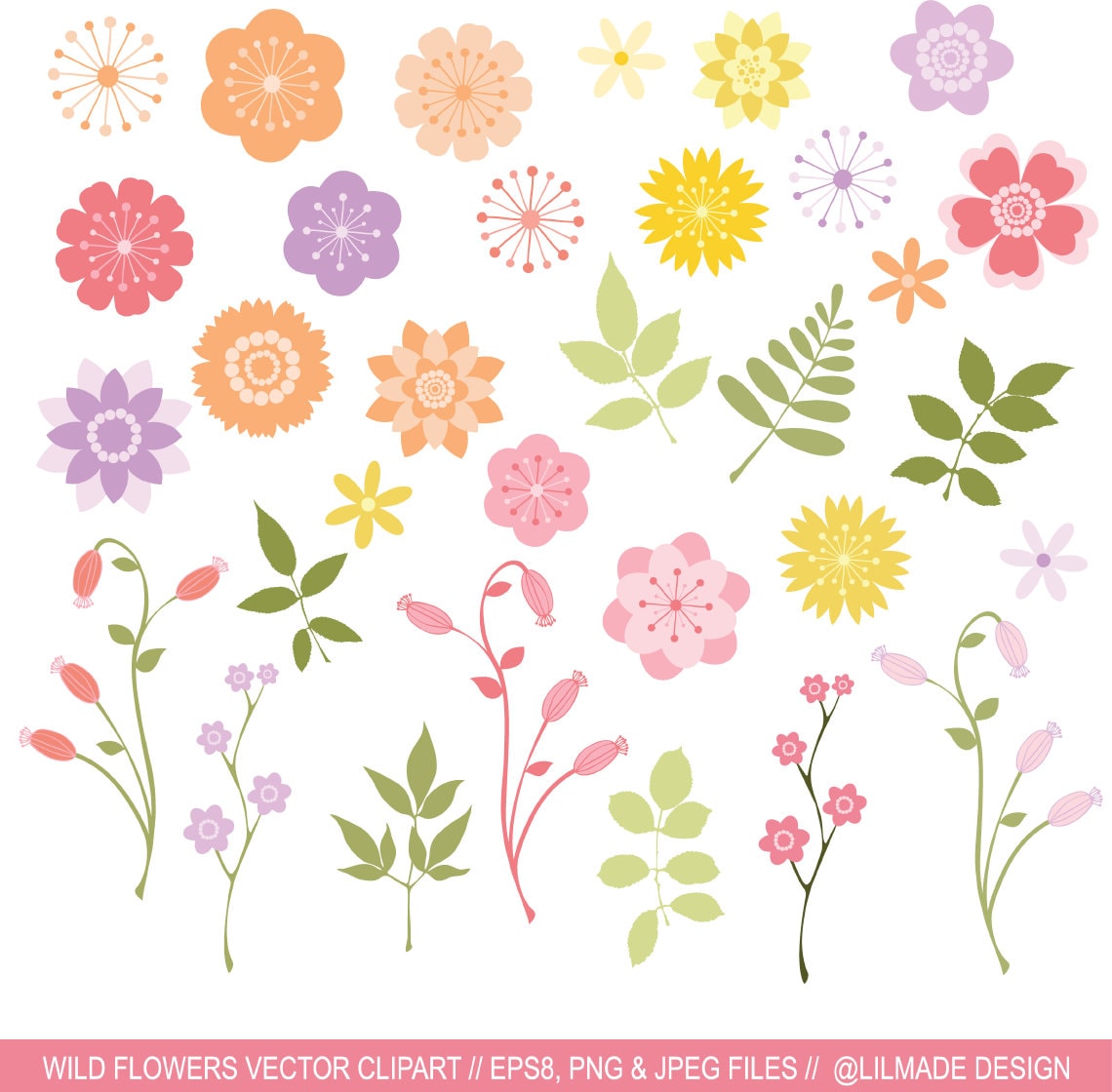 Floral Vector Clipart,hand Drawn Vector Flowers, Botanical Clipart ...