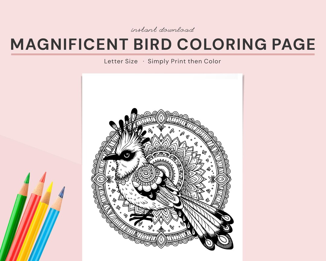 Magnificent Bird Coloring Page for Adults and Kids, Letter Size 8.5in X ...