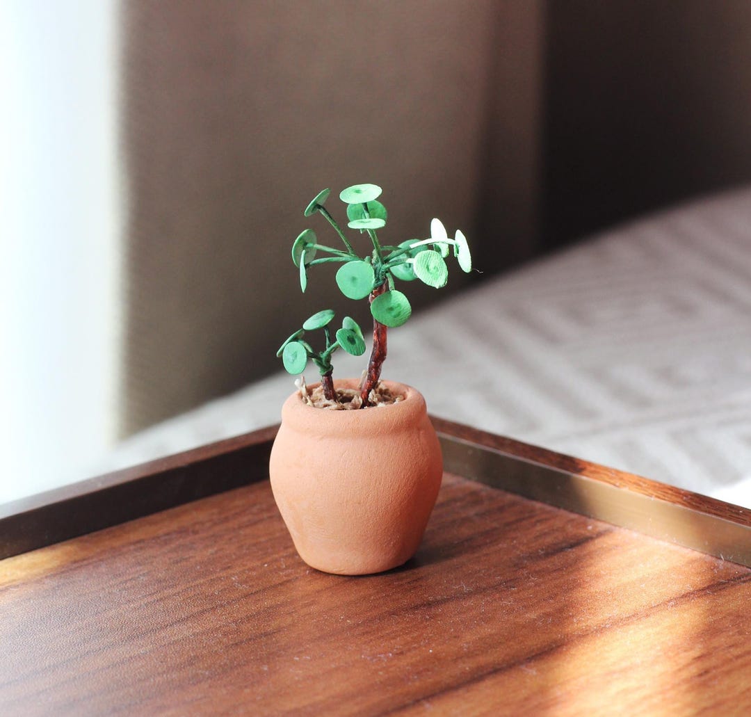Handmade Clay Miniature Pilea Plant - Etsy