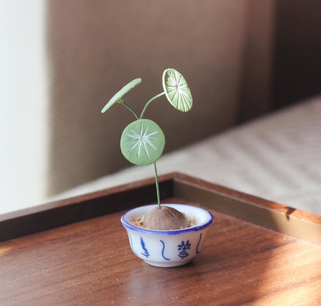 Handmade Clay Miniature Stephania Erecta Plant - Etsy