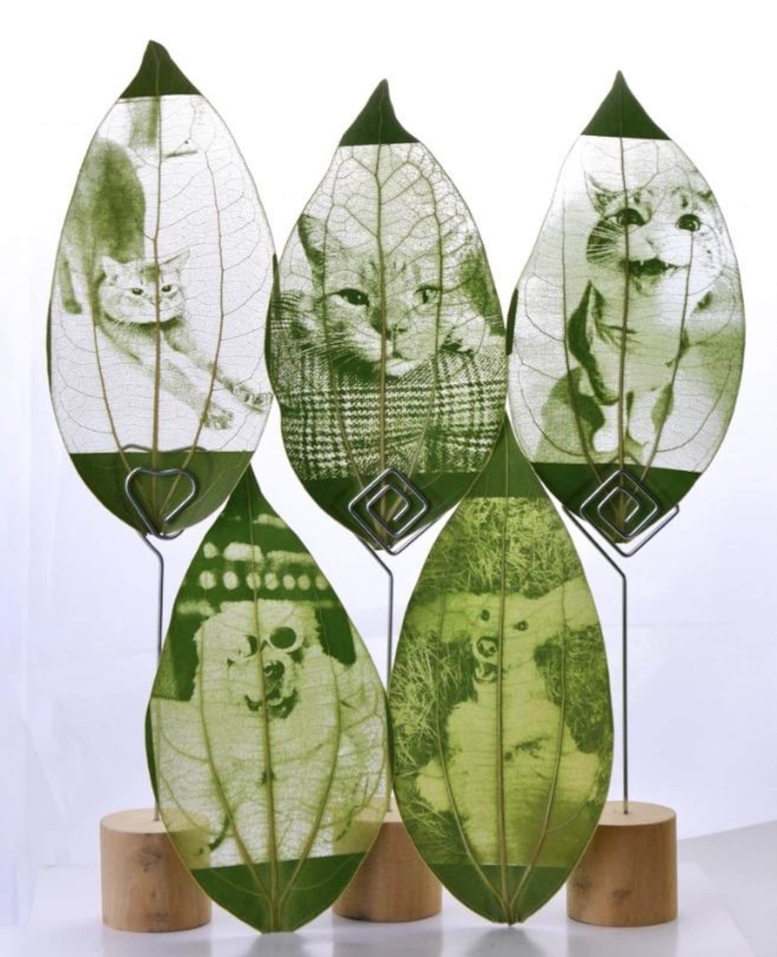 Personalized Photo Engraved Leaf - Custom Family Keepsake Memorial - Etsy
