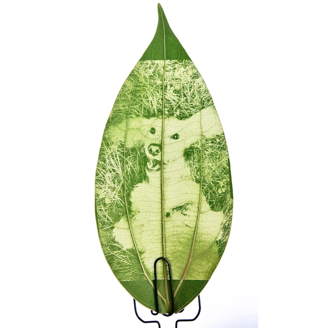 Custom Pet Portrait on Leaf: Engraved Photo, Personalized Memorial Gift ...