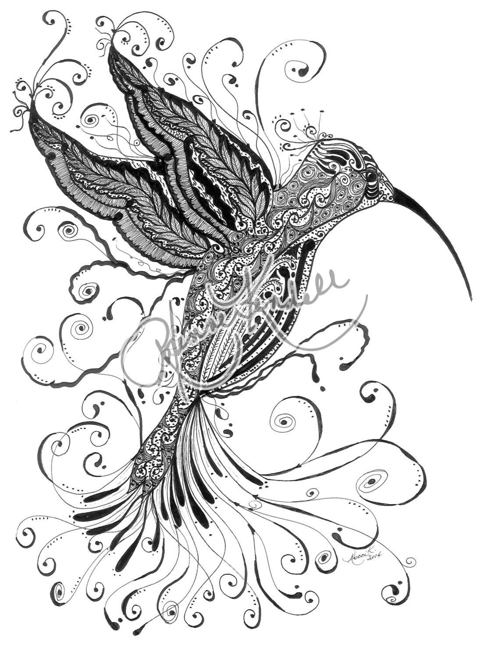 Hummingbird Doodled Ink Drawing Digital Downloadable PDF - Etsy