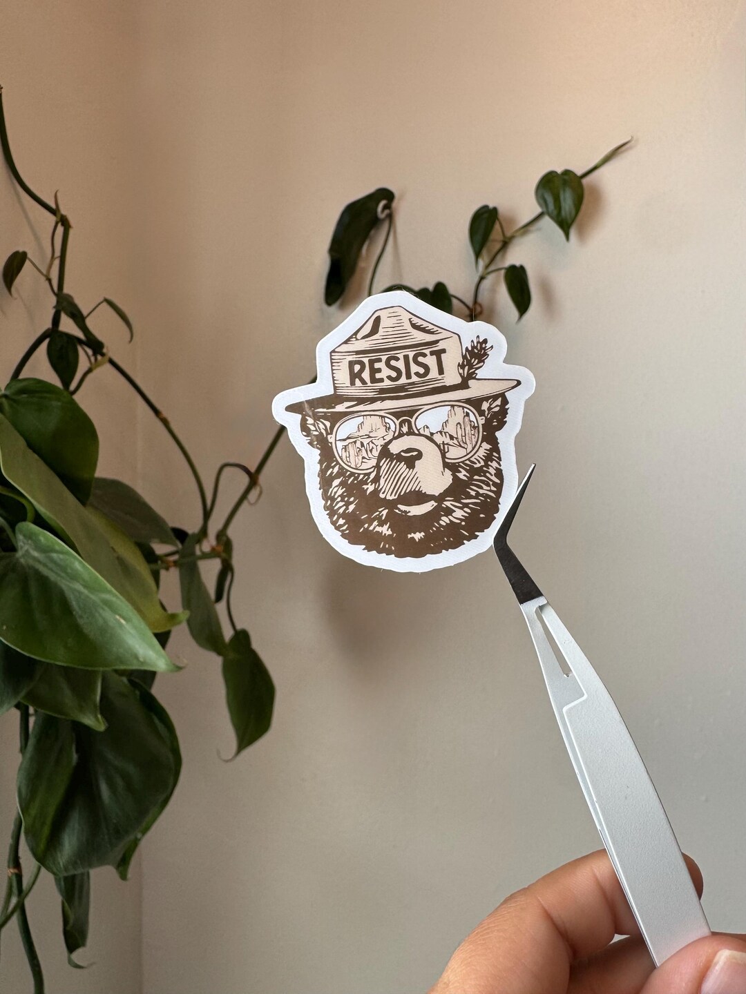 Resist Sticker, Smokey Bear, Protect Our National Parks ...