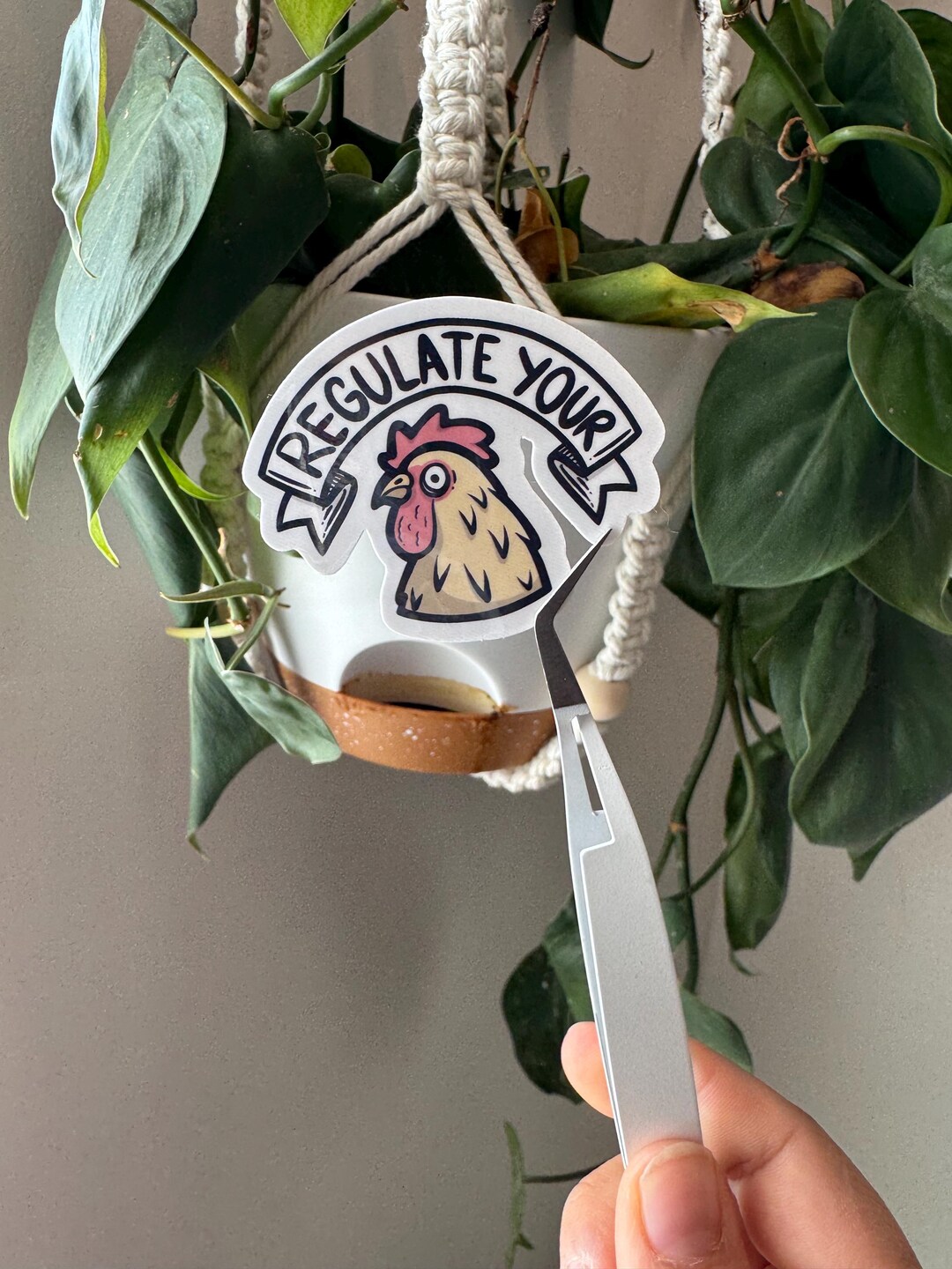 Regulate Your Sticker, Funny Sticker, Water Bottle Sticker, Laptop ...