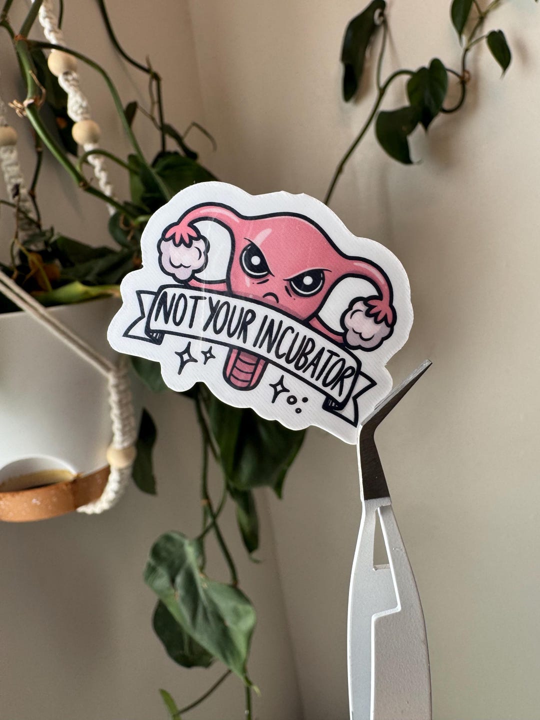Not Your Incubator Sticker, Laptop Sticker, Water Bottle Sticker - Etsy