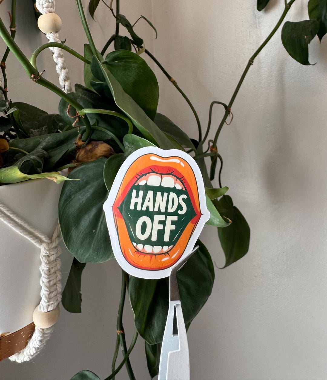 Hands off Protest, Hands off Medicaid Medicare Social Security ...