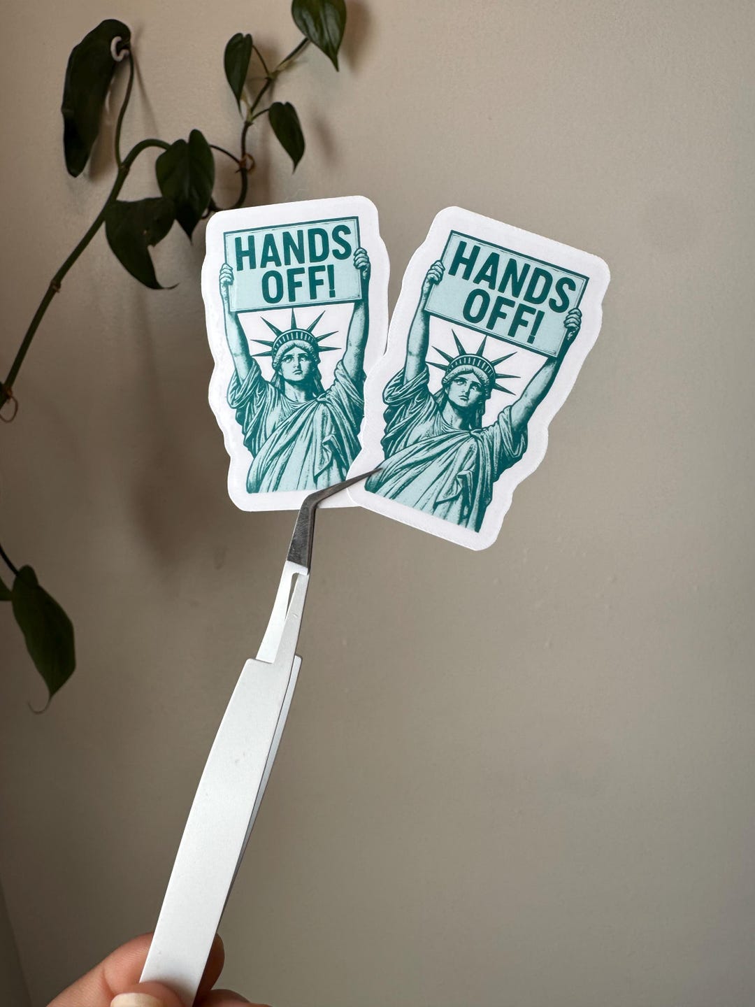 Hands off Protest, Hands off Medicaid Medicare Social Security ...