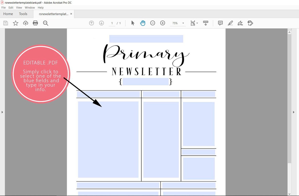 Primary Newsletter-editable-instant Download-easy to Use - Etsy