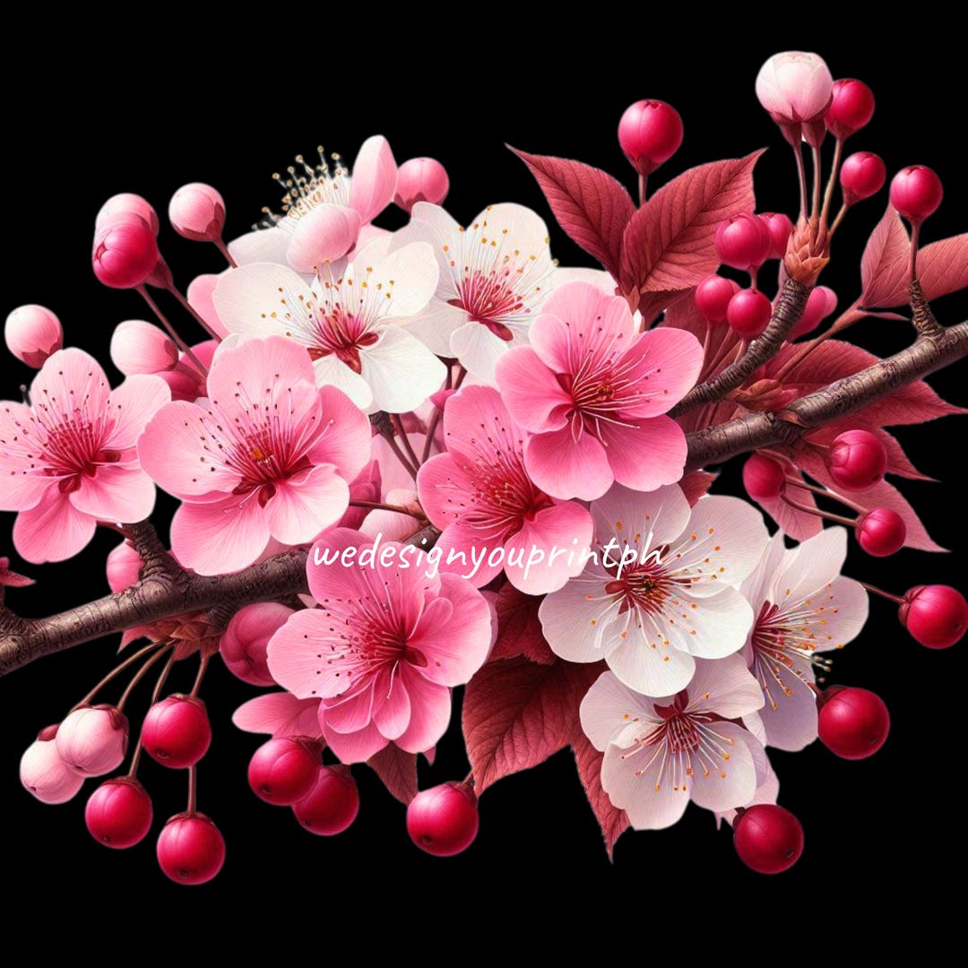 10 Cherry Blossom Clipart PNG Transparent, Spring Sakura Flower Branch ...