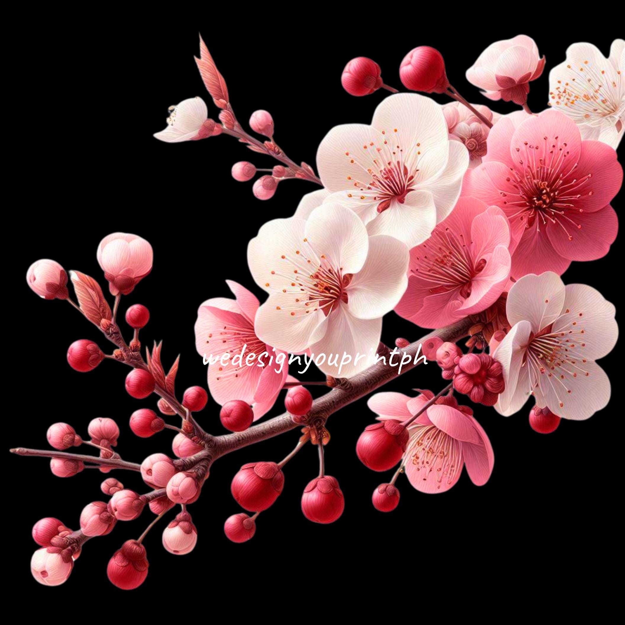 10 Cherry Blossom Clipart PNG Transparent, Spring Sakura Flower Branch ...