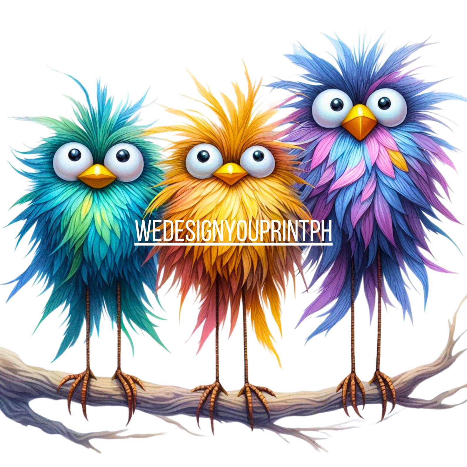 10 Colorful Quirky Bird Clipart JPG, Cute Whimsical Feathered Big Eyed ...