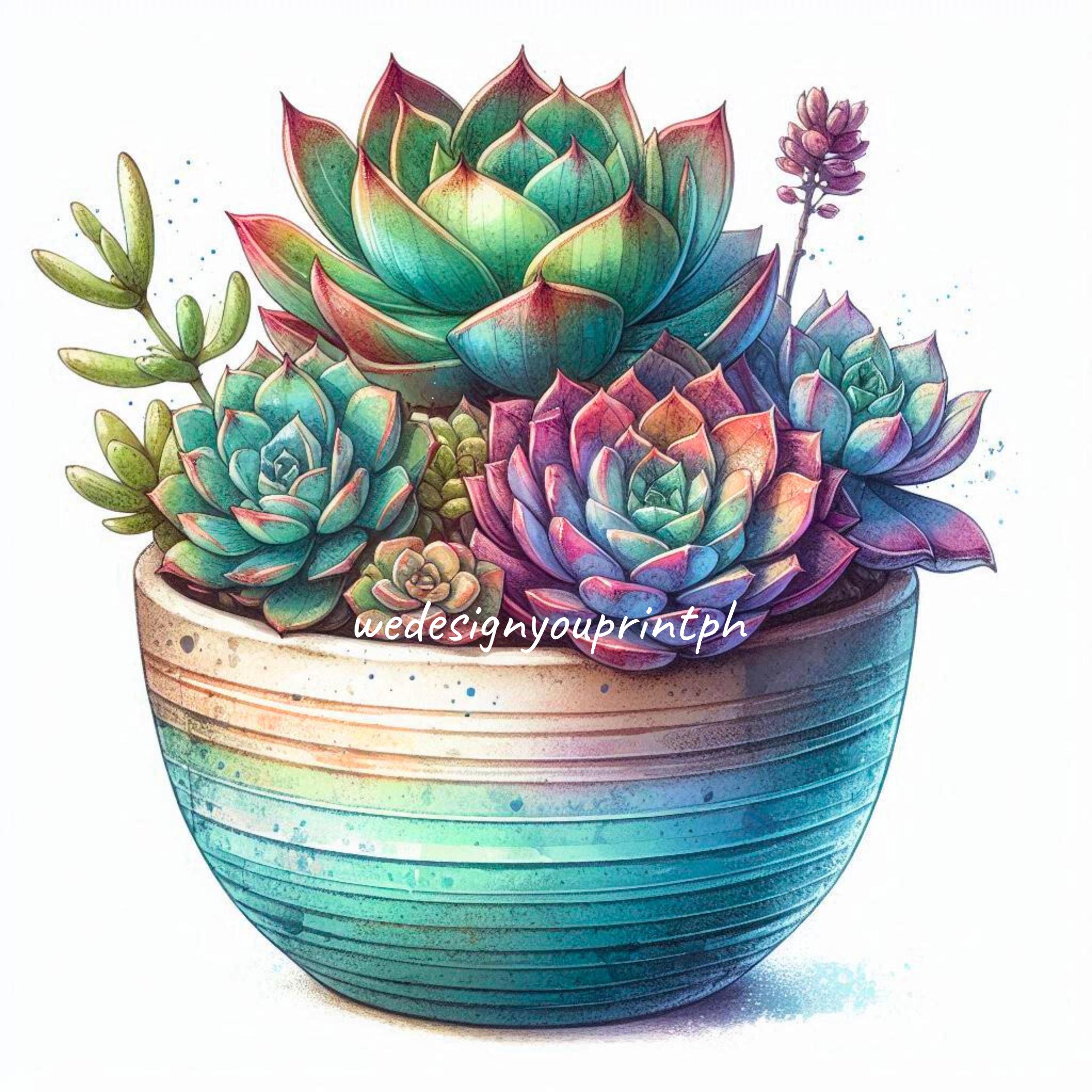 10 Succulent Clipart JPG, Watercolor Cactus Plant Printable Boho Garden ...