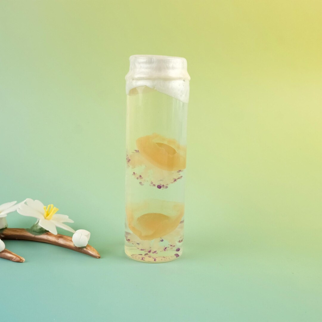 2 Packs of Jellyfish Specimens, Real Jellyfish Phacellophora ...