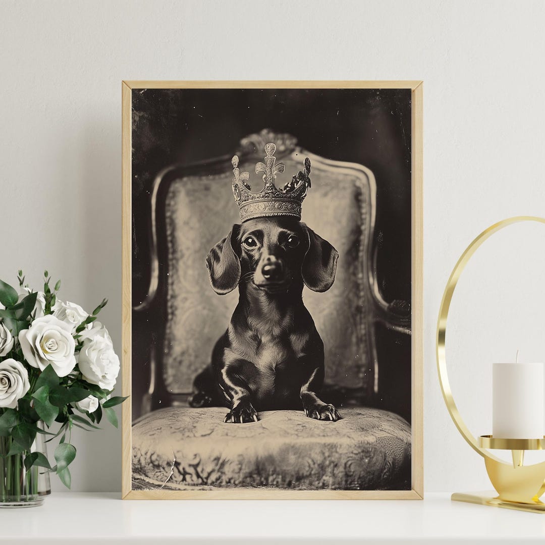 Antique Dachshund Royal Portrait – Vintage Dog Photography Print ...