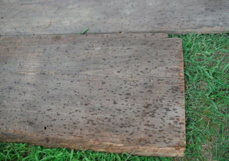 Lot of 3 Vintage Red Tidewater Pecky Cypress Reclaimed Lumber Old Wood ...