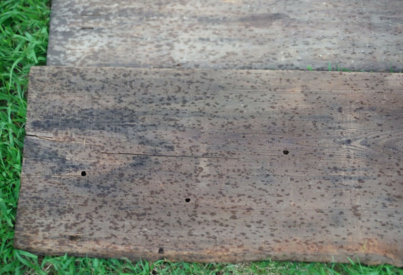 Lot of 3 Vintage Red Tidewater Pecky Cypress Reclaimed Lumber Old Wood ...