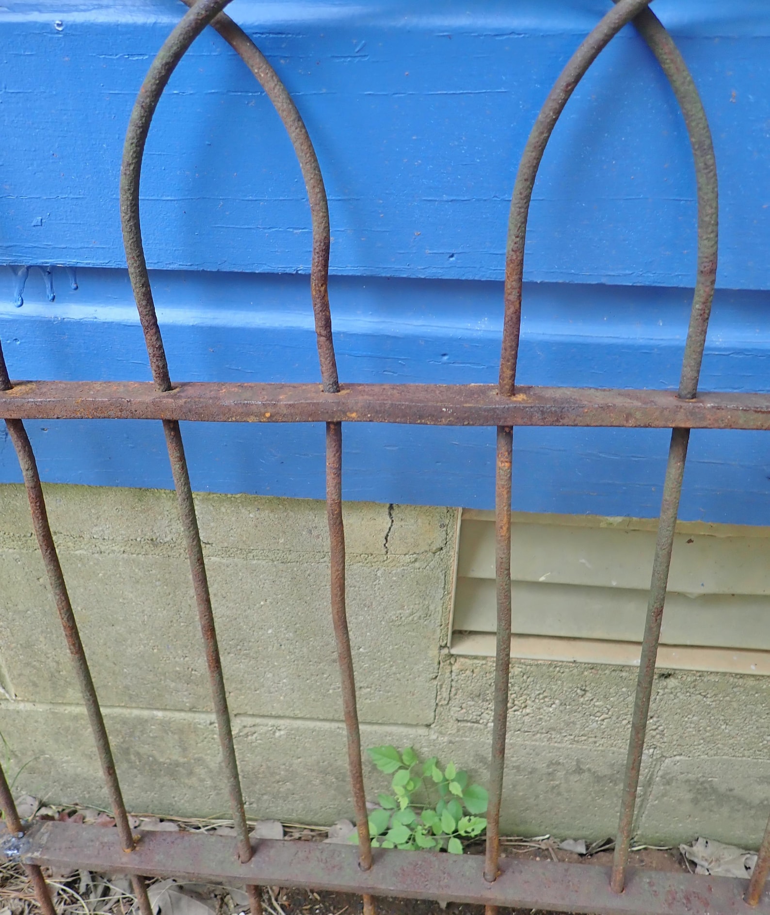 1800s Fence GARDEN GATE Vintage Victorian? Antique Rustic Yard ...